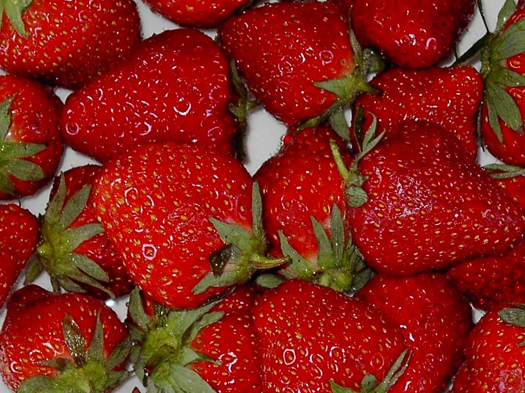 Aardbeienplanten | VTV De Brinken